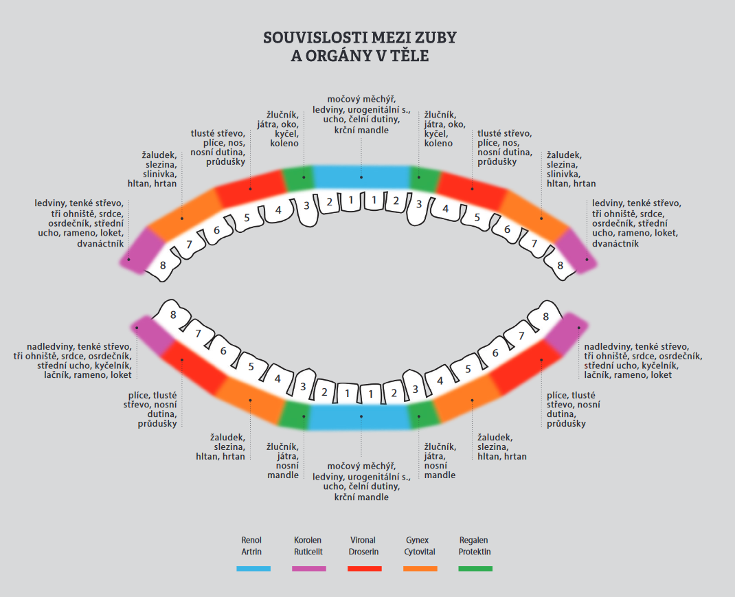 Dutina ústní je zrcadlem celkového zdraví (1)